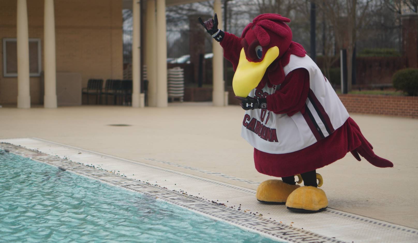 Campus Recreation - Campus Recreation | University of South Carolina