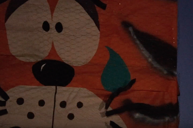 Tiger Burn - Russell House | University of South Carolina